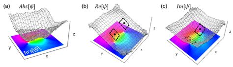 FIG S3 Visualization Of Experimental Tilt Measurement For The Two Download Scientific Diagram
