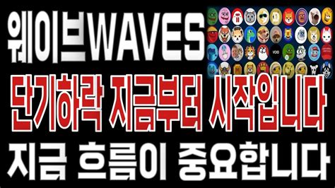 웨이브waves 코인전망 드디어 터진다 1분전 긴급속보 이제부터 시작입니다 웨이브waves 웨이브waves목표가 시세전망 호재 Youtube
