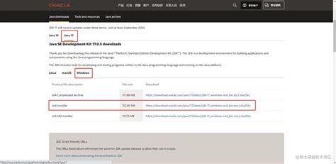 Windows系统下jenkins安装、配置自动化部署vue项目一、安装前置软件 安装java17：下载地址 安装git 掘金