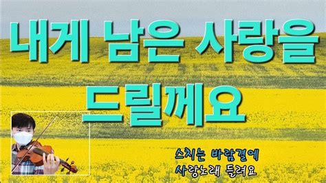 내게 남은 사랑을 드릴께요 장혜리 취미바이올린 Hobbyviolin Youtube