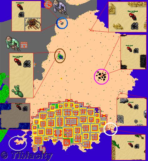 Ankrahmun Tombs Waypoints