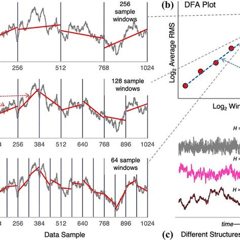 Detrended Fluctuation Analysis Dfa Note Example Dfa Procedure A