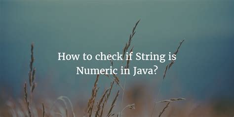 How To Check If A String Is Numeric In Java Use Isnumeric Or Isnumber Example