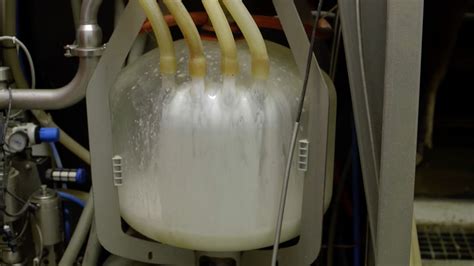 Meet Lely The Cow Milking Robot Tomorrows World Today®