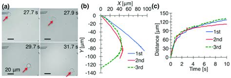 Time Lapse Micrographs Of First Cell Transported Into Microwell The Download Scientific