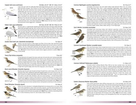 Field Guide To Birds Of Greater Southern Africa Nhbs Field Guides