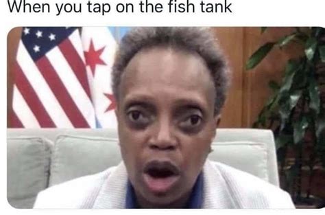 Le Blub Blub Glub Glub Give Me Your Guns Meme By Tpack Memedroid