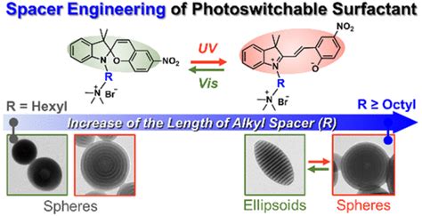 Effect Of Molecular Structure Of Photoswitchable Surfactant On Light Responsive Shape Transition