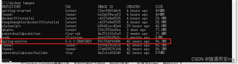 Spring Native Springboot Csdn