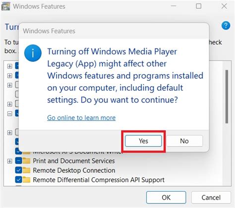 Windows Media Player Is Not Turned On Support