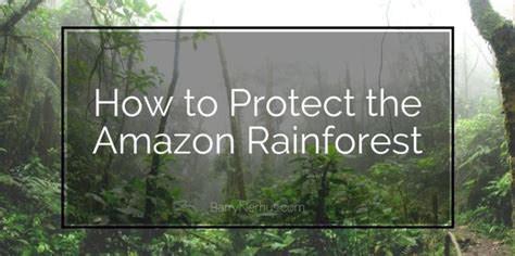 How To Protect The Amazon Rainforest Magickmermaid