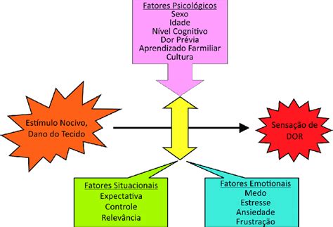 3 Fatores Que Influenciam No Surgimento Da Dor Download Scientific