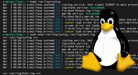 How To Use The Less Command Pi My Life Up