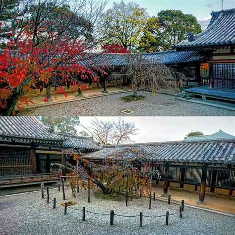法隆寺 東院伽藍 夢殿から見た回廊の秋 国宝 奈良県 生駒郡 夢殿の周囲は廻廊があり北側に舎利殿絵殿伝法堂東院鐘楼南側に礼堂