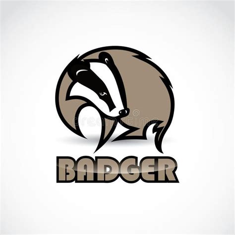 European Badger Vector Illustration Of European Badger Sponsored