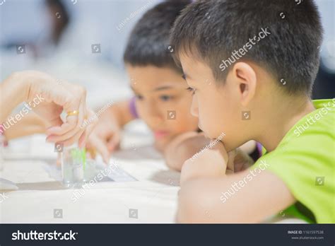 19 Reaction Of Calcium Carbonate With Hydrochloric Acid Images Stock