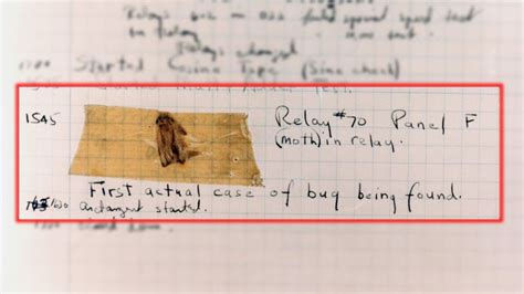 You Knew The First Recorded Computer Bug Was A Literal Bug Right PC