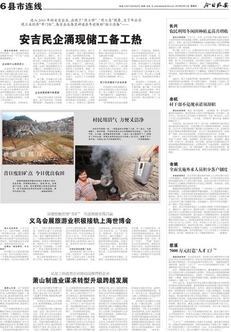 农民利用冬闲田种植麦苗喜增收 今日临安
