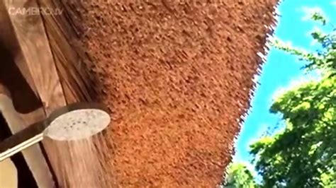 Nadine Jansen Porn Videos Cumguru Com