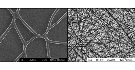 Chitosan Nanofibers From An Easily Electrospinnable Uhmwpeo Doped