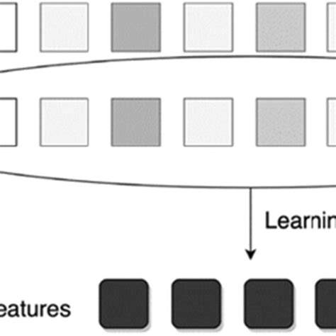 feature extraction process [8] download scientific diagram