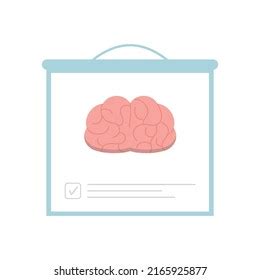 Human Organ Brain Infographics Cartoon Illustration Stock Vector Royalty Free