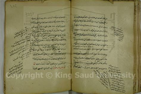 مخطوطات شرح الخبيصي على كافية ابن الحاجب الصفحة رقم 186