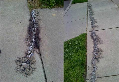 This Is What A Downed Power Line Does To A Sidewalk Funny Pictures