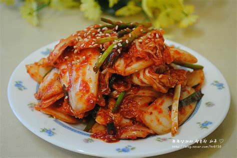배추김치 알배기배추겉절이 맛있게담그는법 네이버 블로그