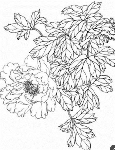 민화 모란도도안 민화도안 소품그리기 분당민화 판교민화 팝페인터 네이버 블로그 Artofit