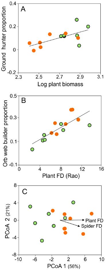 Spider Assembly Patterns In Ecological Gradients Trait Convergence Download Scientific Diagram