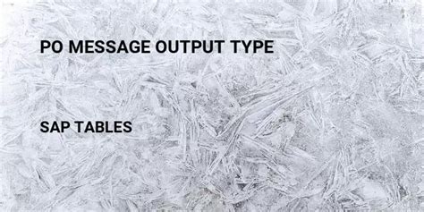 Po Message Output Type Table In Sap