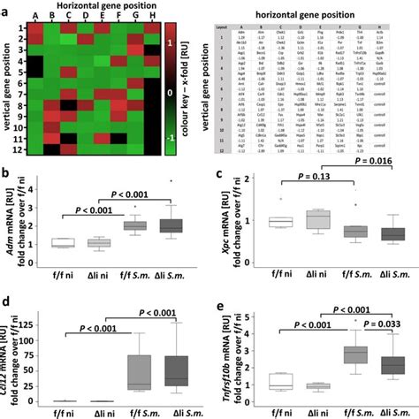 Qpcr Array And Subsequent Rt Qpcr Validation Of Marker Genes For