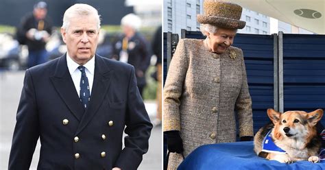 Prince Andrew Surprised Queen Elizabeth With Two New Corgis