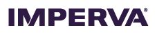 Cyber Security Leader Imperva Inc