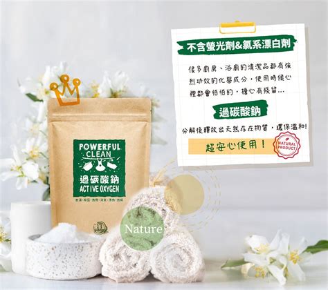 加倍潔 過碳酸鈉去污粉600g 洗衣槽清潔 衣物清潔 杯垢清潔 各類清潔 PChome 24h購物