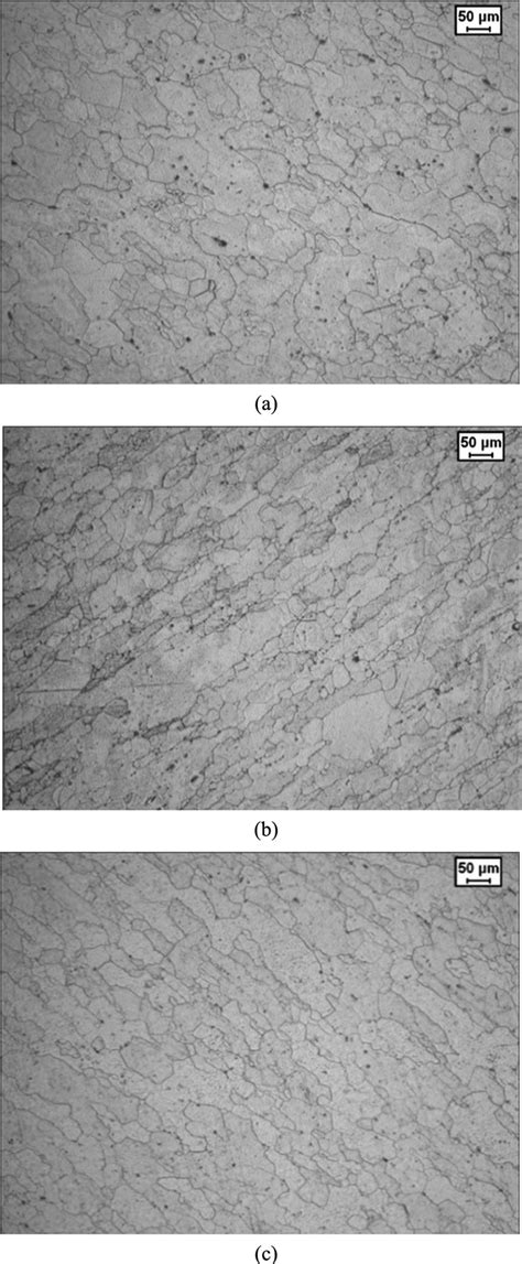 Optical Micrographs For Specimens Taken From Different Locations Of Download Scientific