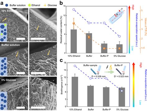 Transition Of Xerogel Fibers From Homogeneity To Heterogeneity In Download Scientific Diagram