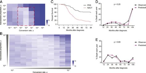 Computational Modeling Of Ovarian Cancer Dynamics Suggests Optimal Strategies For Therapy And