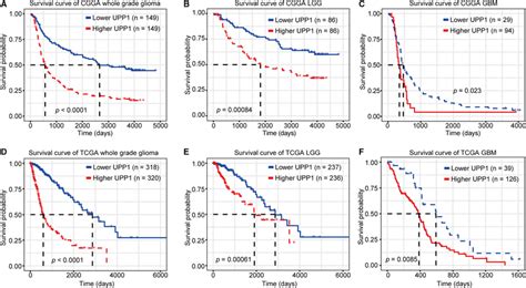 Survival Analysis For Upp1 In Whole Grade Glioma A D Lgg B E Download Scientific