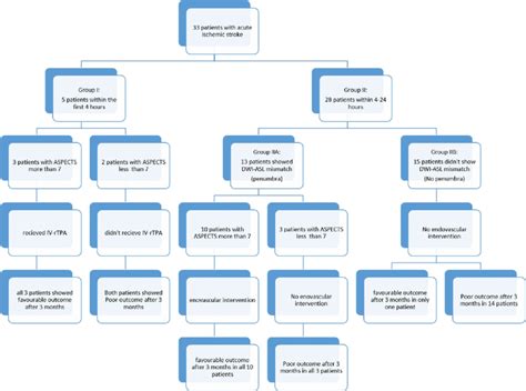 Flow Chart Showing Different Acute Stroke Cases Categories And Their