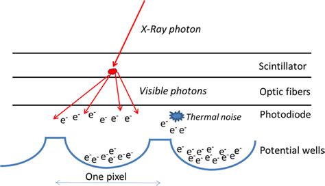 Principle Of X Ray Detection By A Ccd Detector In The Scintillator The Download Scientific