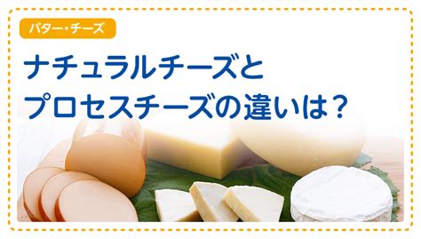 ミルク便利帳｜雪印メグミルク株式会社
