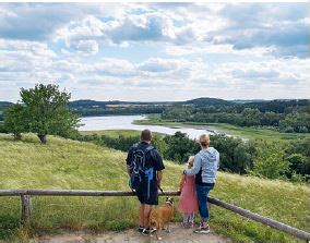 Im Wald Und Auf Der Heide Landurlaub Brandenburg