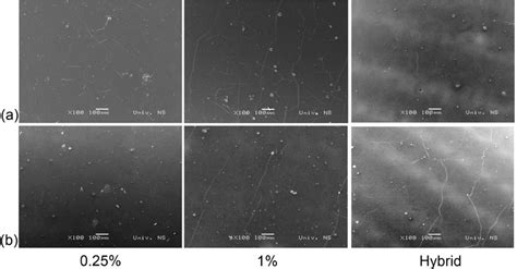sem micrographs of samples coated by nanocomposite containing a zno