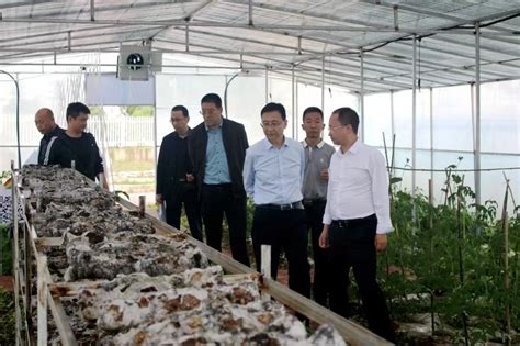 学院领导深入徽县江洛镇学区开展调研 陇南师范高等专科学校初等教育学院