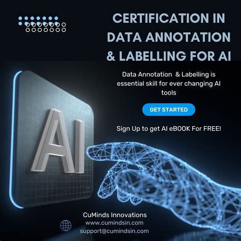 Learn Data Annotation And Labeling With Amazon Sagemaker And Label Studio