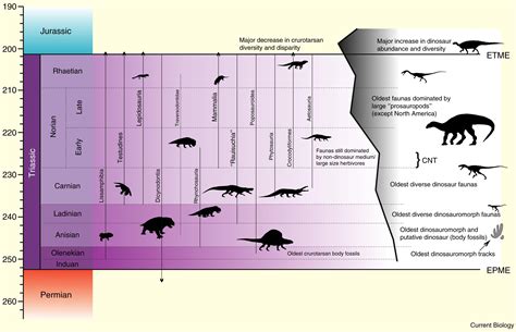 Models For The Rise Of The Dinosaurs Current Biology