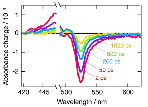 Fig S1 Displays The Transient Absorption Spectra Obtained Upon Laser