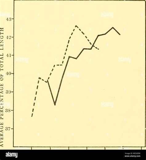 R Length Of Whale In Metres Fig Female Fin Whales Measurement No Tip Of Snout